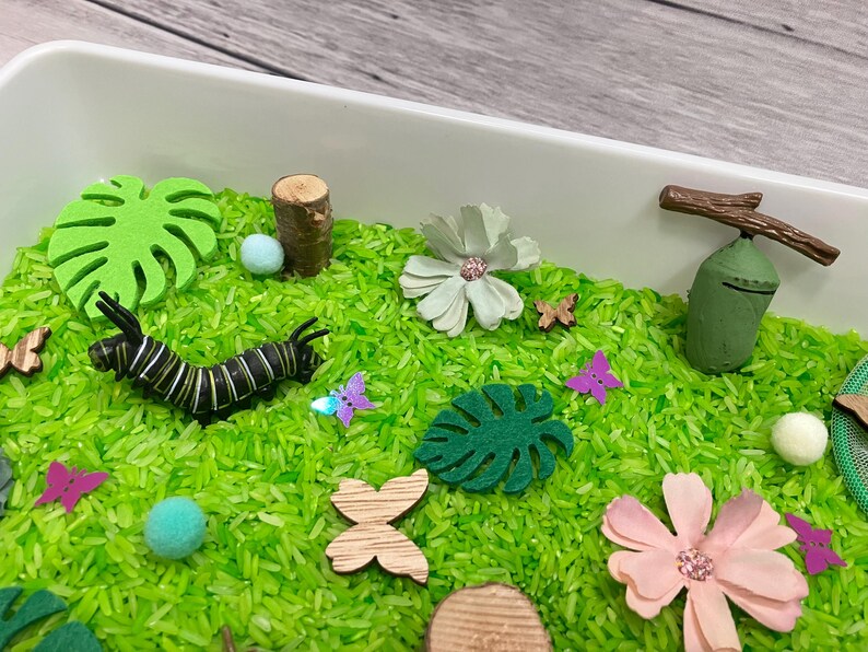 Butterfly Life Cycle Sensory Bin, Educational Kids Activity - Etsy