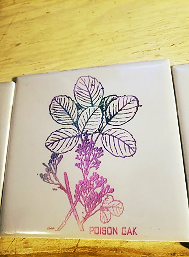 Poisonous Plants Decorative Tile Collection Laser Engraved , Set of 3 ...