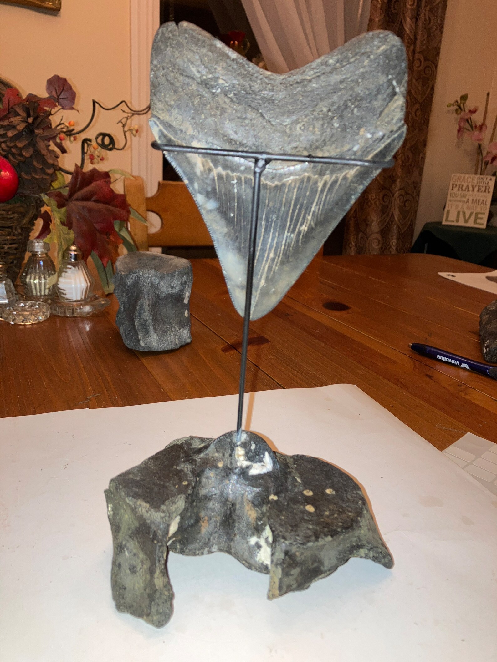 Fossil Megalodon Tooth Stand - Etsy