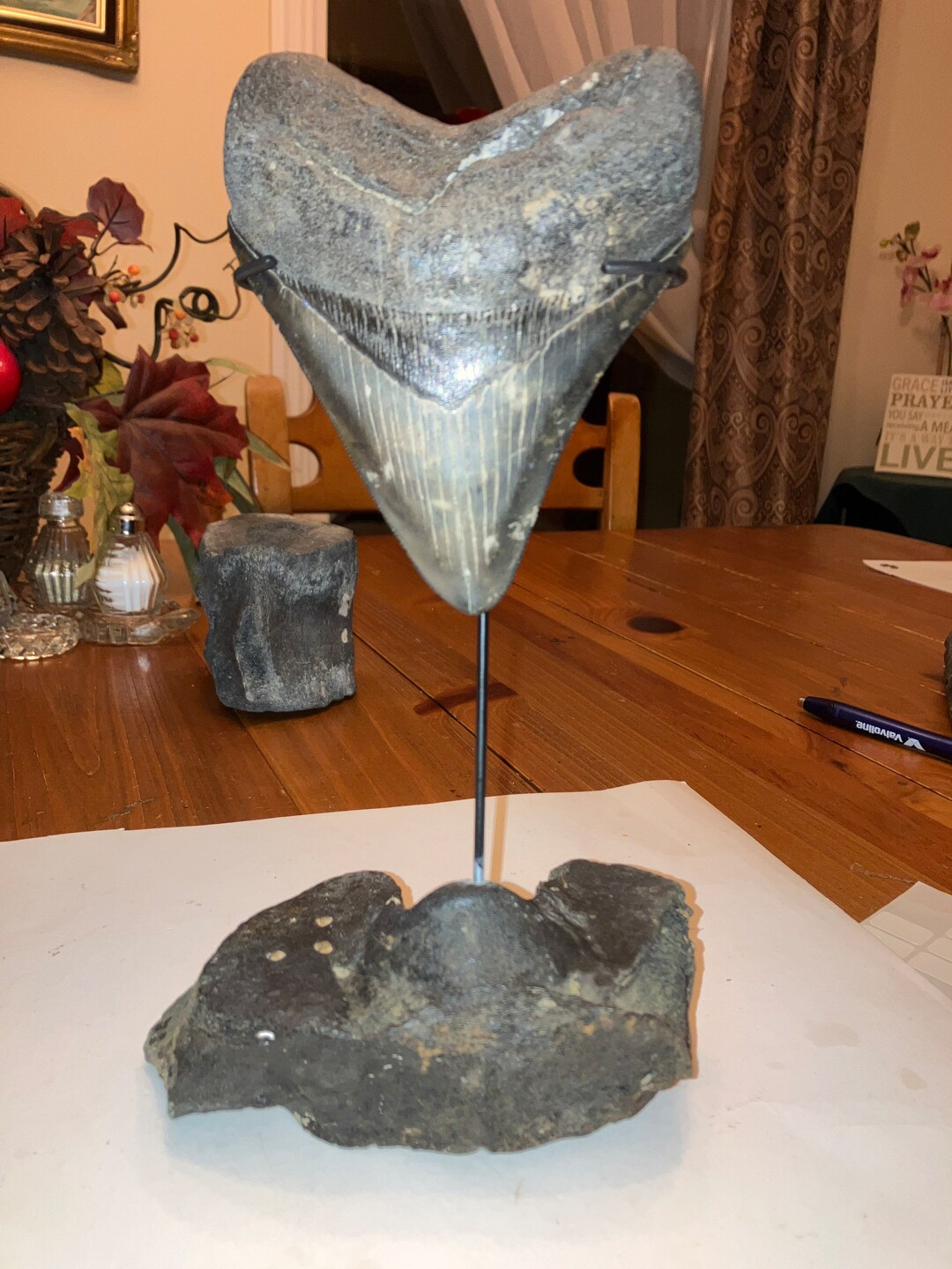 Fossil Megalodon Tooth Stand - Etsy