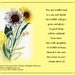 Sunflower Encouraging Card With Inspirational Scripture Illustrated by ...