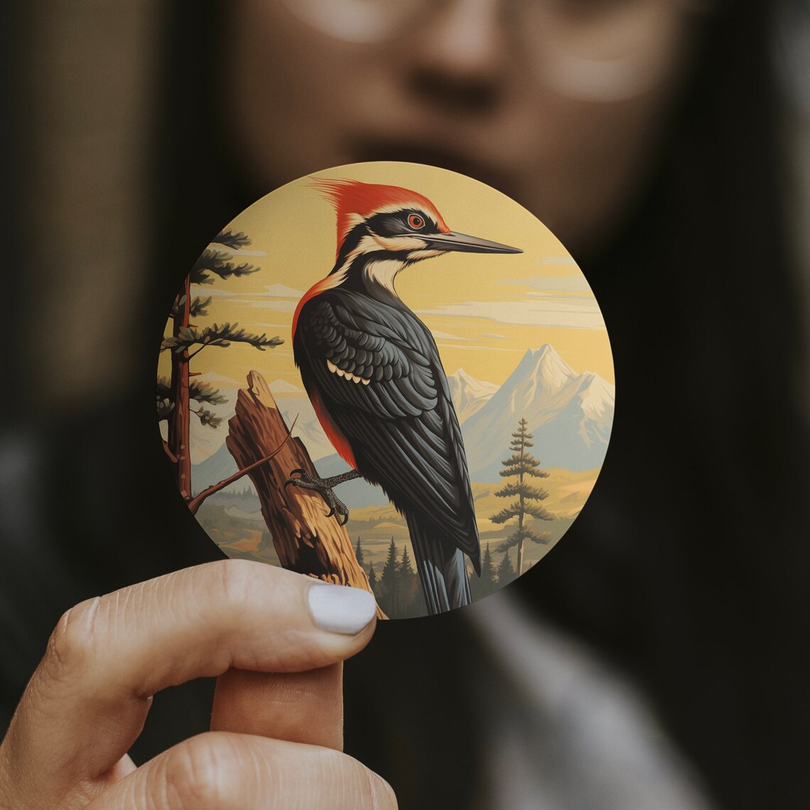 Pileated Woodpecker National Park Sticker - Wildlife-inspired Nature ...