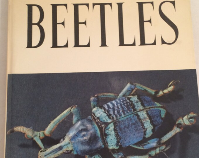 BEETLES 1961 Oversize Hardback Insect Bugs Color PHOTO Book - Etsy