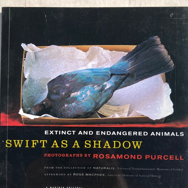 Extinct Birds - Etsy