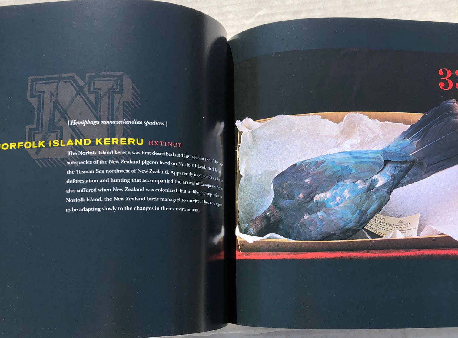 EXTINCT & ENDANGERED ANIMALS Photo Book 1999 Swift as a Shadow - Etsy