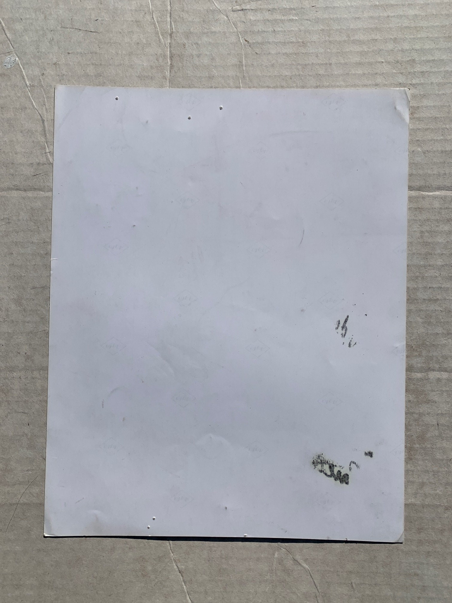 1991 OZZY OSBOURNE AUTOGRAPHED Photo Zakk Wylde Randy Castilo and ...