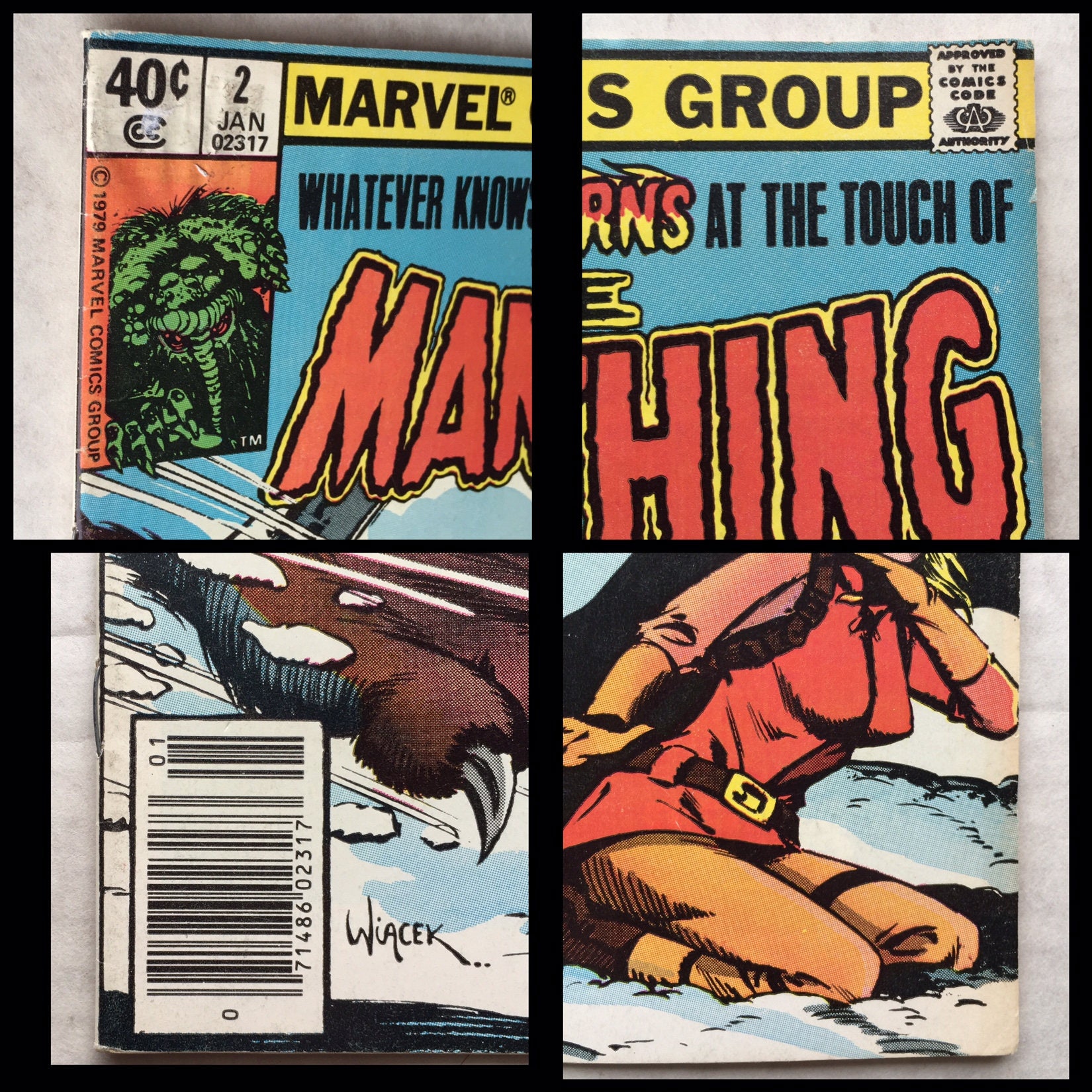MAN-THING 2 1979 Marvel Comics Comic Book Himalayan Nightmare Swamp ...