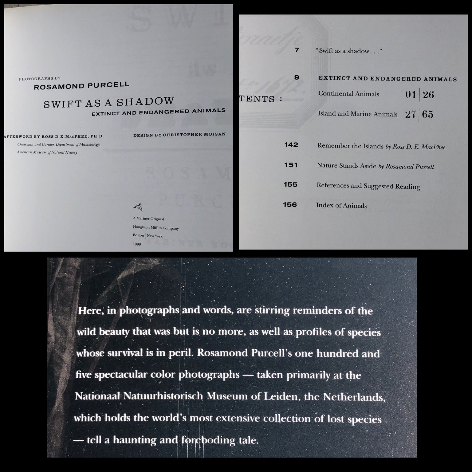 EXTINCT & ENDANGERED ANIMALS Photo Book 1999 Swift as a Shadow Turtle ...