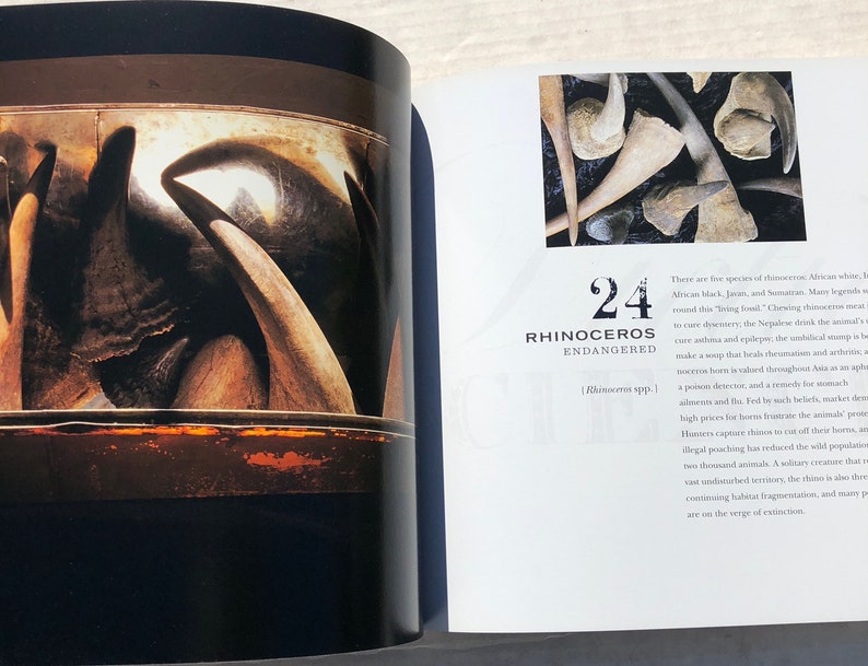 EXTINCT & ENDANGERED ANIMALS Photo Book 1999 Swift as a Shadow Turtle ...