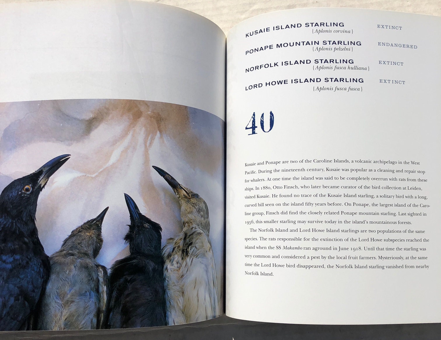 EXTINCT & ENDANGERED ANIMALS Photo Book 1999 Swift as a Shadow - Etsy