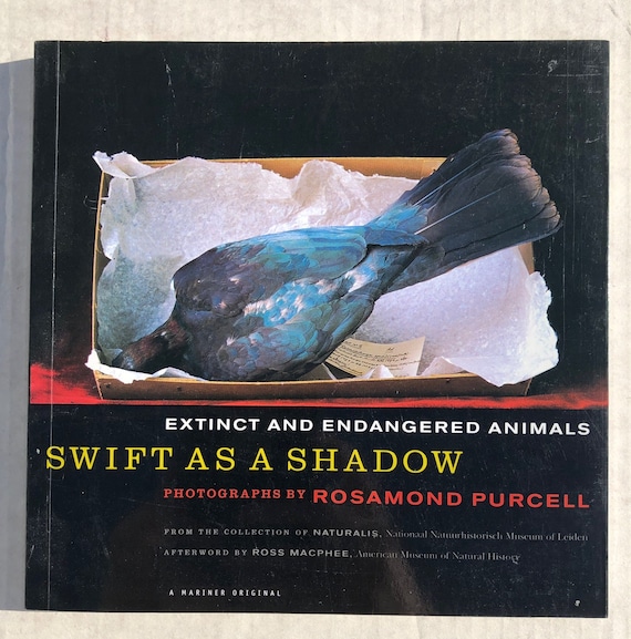 EXTINCT & ENDANGERED ANIMALS Photo Book 1999 Swift as a Shadow | Etsy