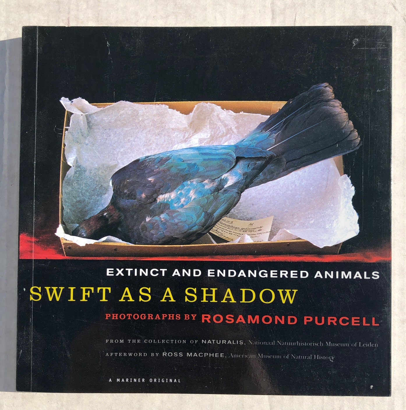 EXTINCT & ENDANGERED ANIMALS Photo Book 1999 Swift as a Shadow Turtle ...