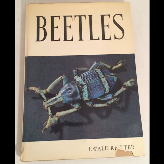 BEETLES 1961 oversize hardback Insect bugs color PHOTO book | Etsy