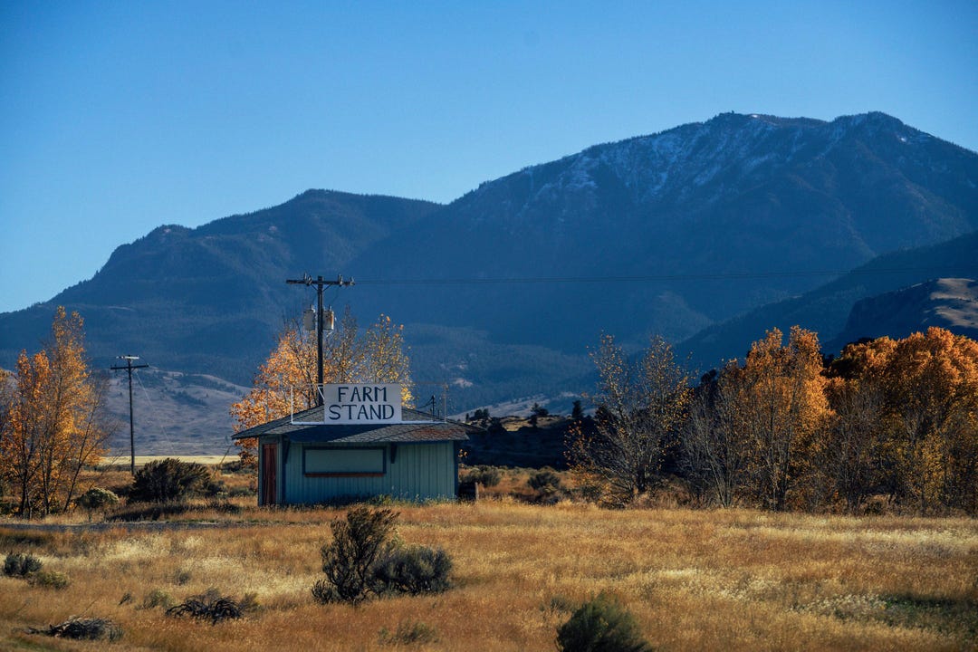 Postcard From Nowhere - Digital Download. Travel Photography, Film ...