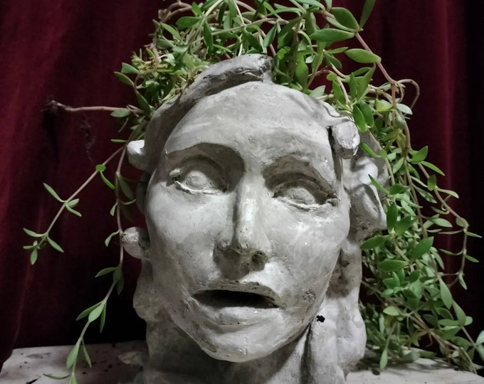 MEDUSA Planter Head, Original Hand Crafted, Water Drains Out of Her ...