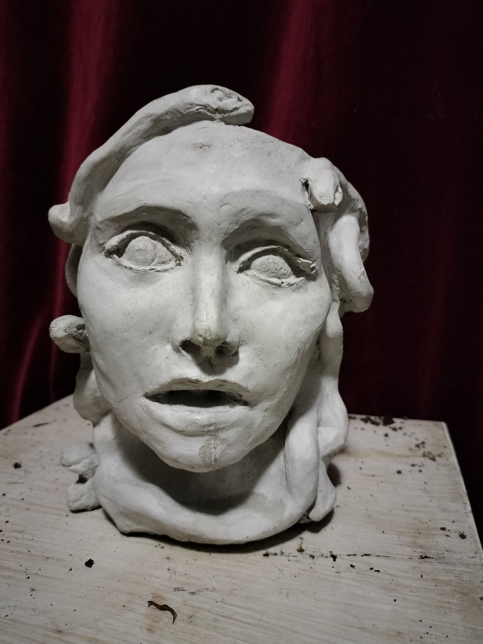 MEDUSA Planter Head Original Hand Crafted Water Drains Out - Etsy