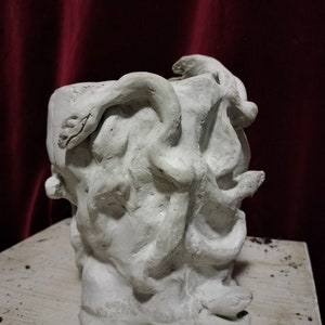 MEDUSA Planter Head, Original Hand Crafted, Water Drains Out of Her ...