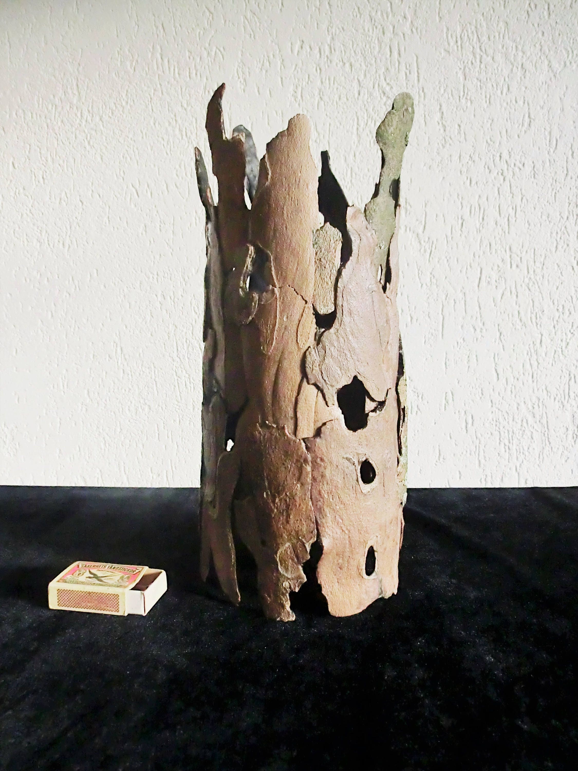 TRUNK Decorative Plane-tree Bark Stuck With Wax/ Can Be Cast in Bronze ...