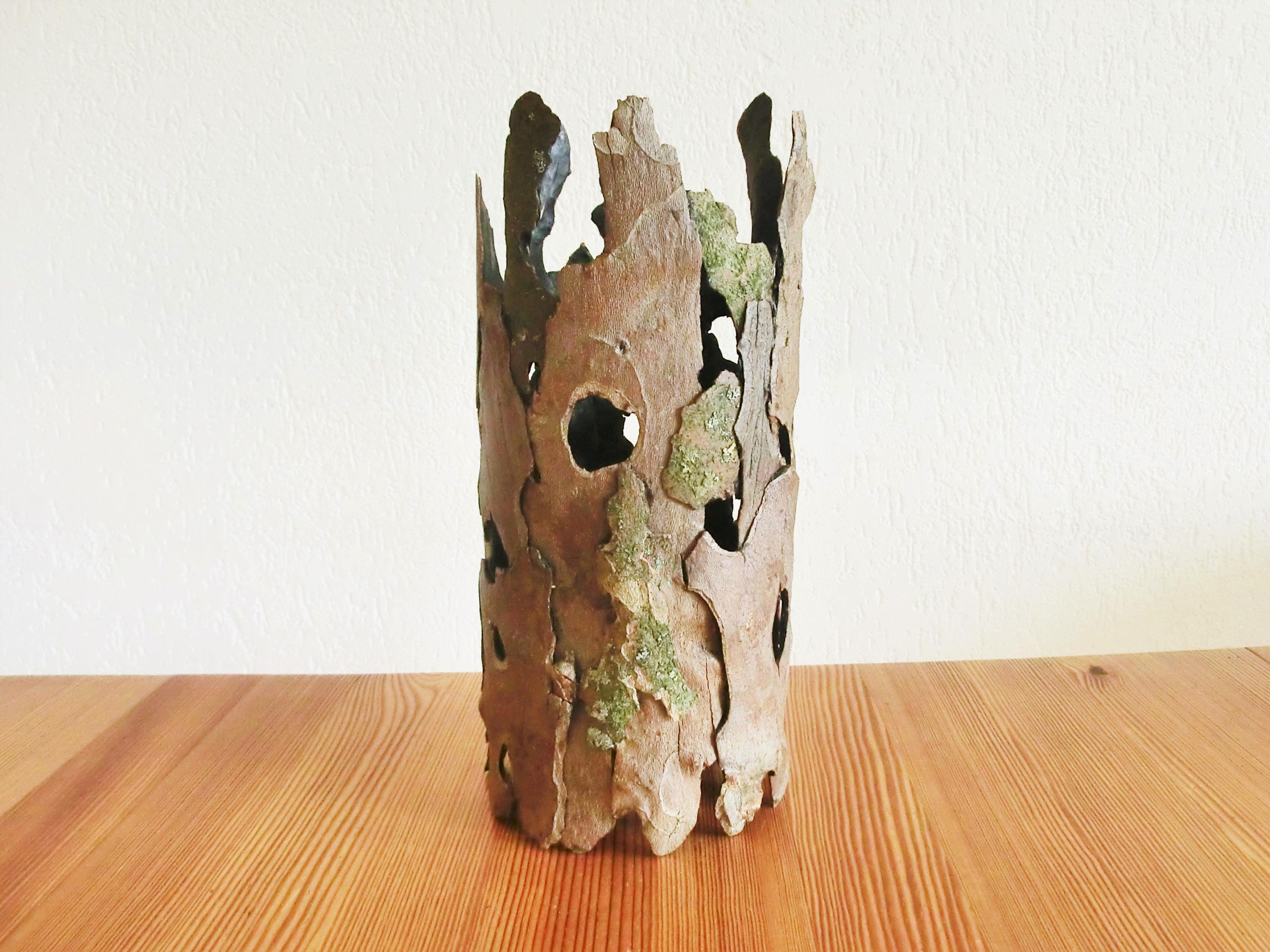 TRUNK Decorative Plane-tree Bark Stuck With Wax/ Can Be Cast in Bronze ...