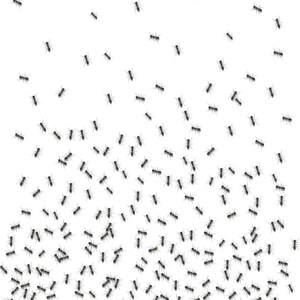 Ants Wall Clock Modern Wall Clock Nature Home Decor Black and White ...