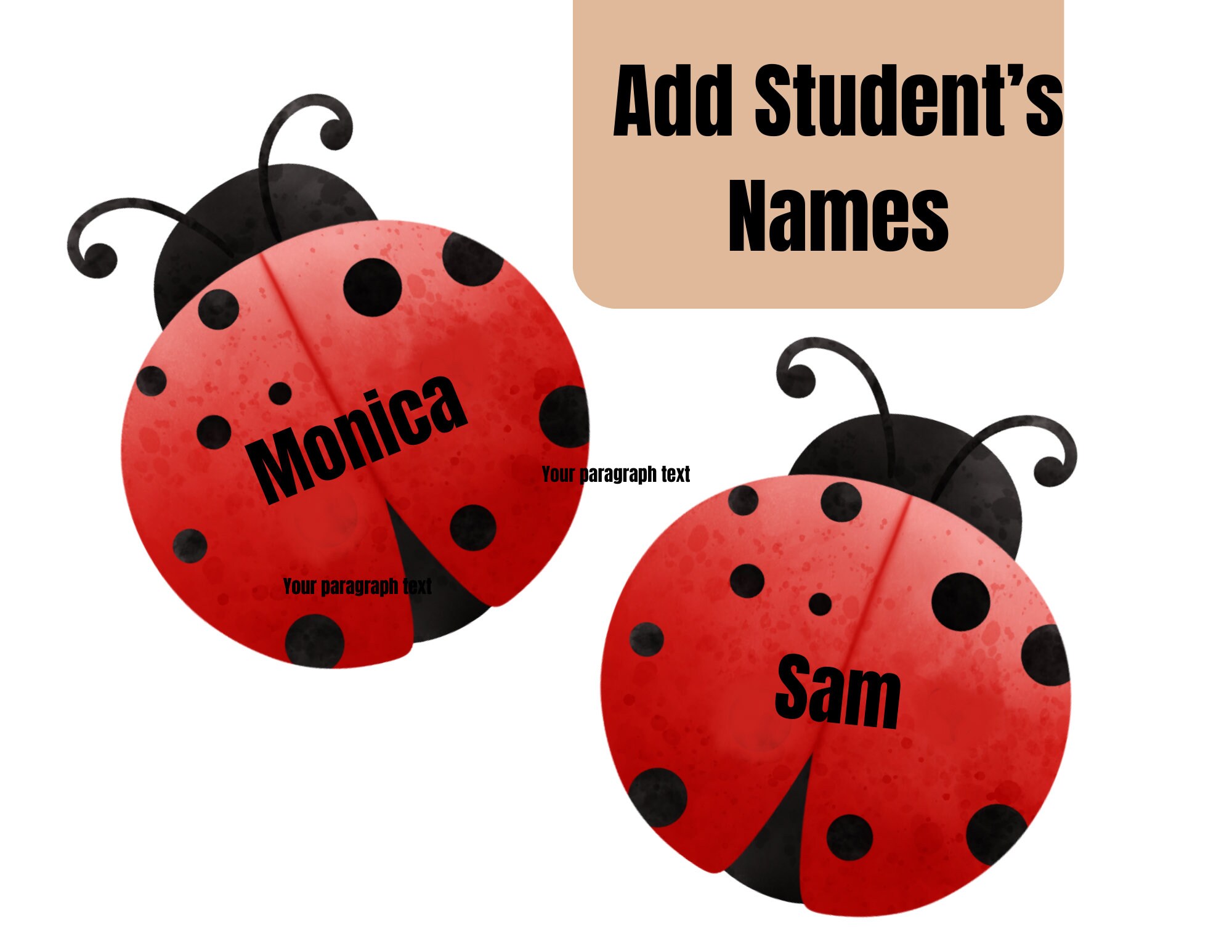 Valentine's Day Bulletin Board Classroom Decorations, Love Bugs, Name ...