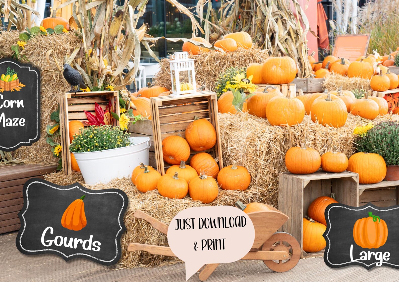 Pumpkin Patch Dramatic Play Set, Dramatic Play, Preschool Printable ...