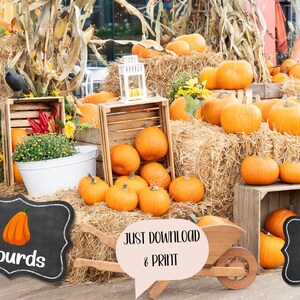 Pumpkin Patch Dramatic Play Set, Dramatic Play, Preschool Printable ...