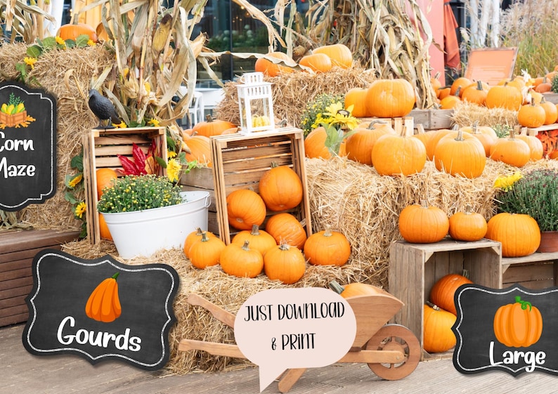 Pumpkin Patch Dramatic Play Set, Dramatic Play, Preschool Printable ...