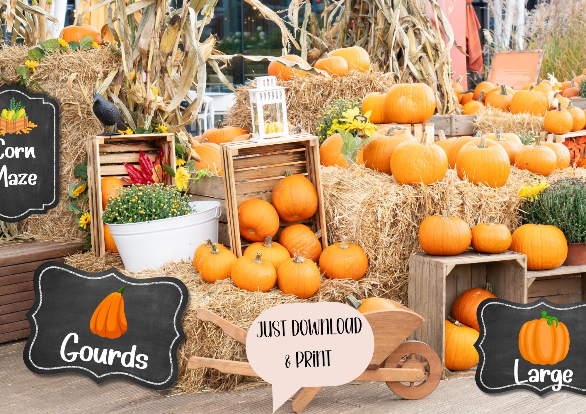 Pumpkin Patch Dramatic Play Set, Dramatic Play, Preschool Printable ...
