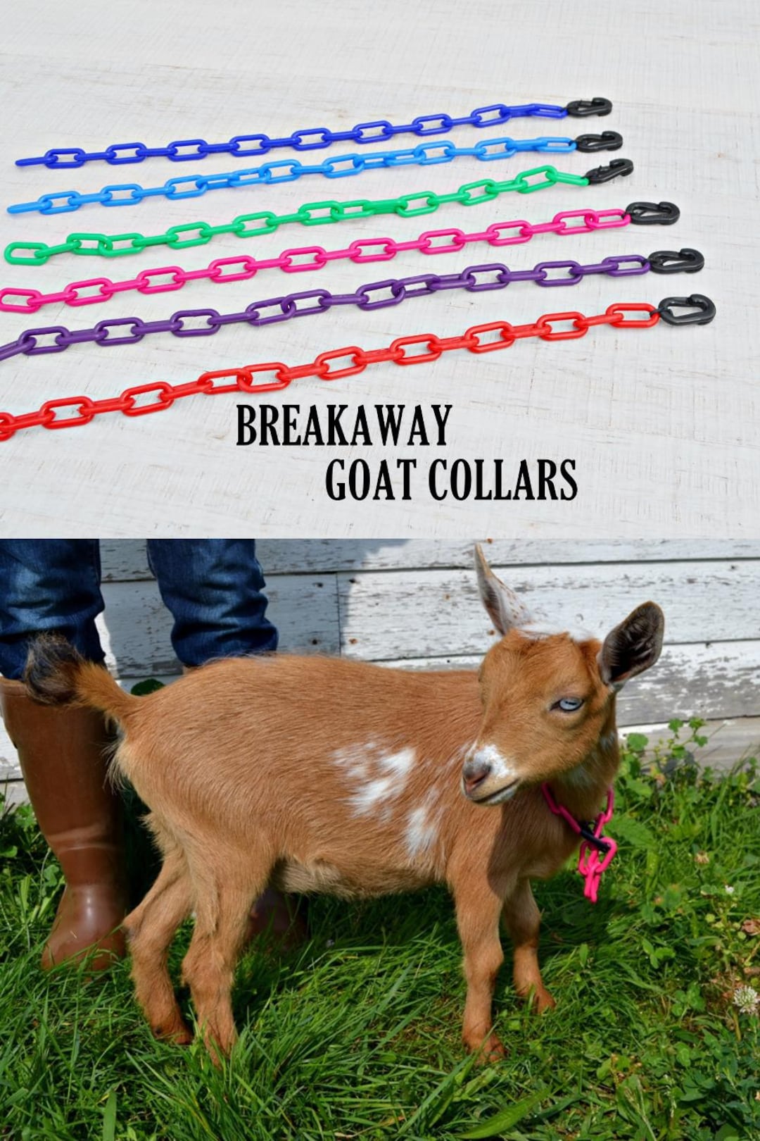 Plastic Chain Goat Collar Multiple Colors: Breakaway Safety, Easy Clean ...