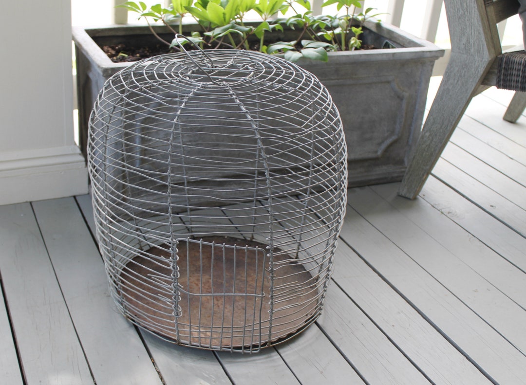 Antique Unique Large Wire Bird Cage, Vintage Metal Bird Cage, Vintage ...