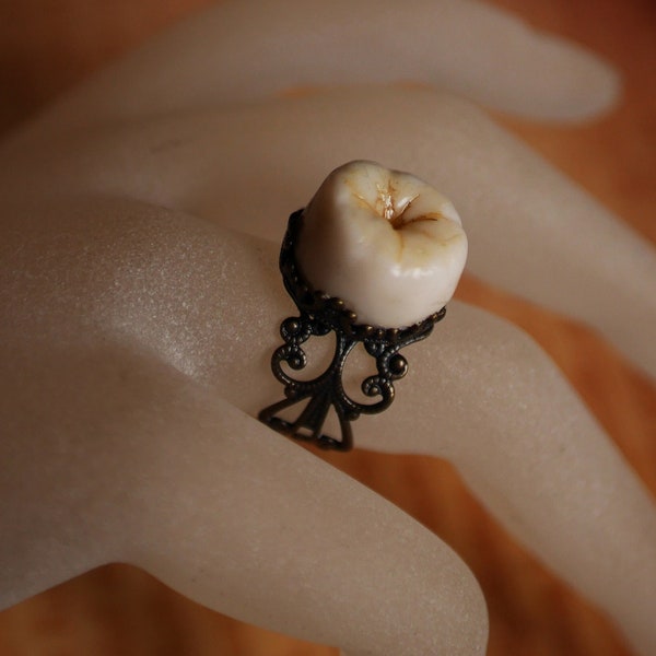 Tooth Ring - Etsy