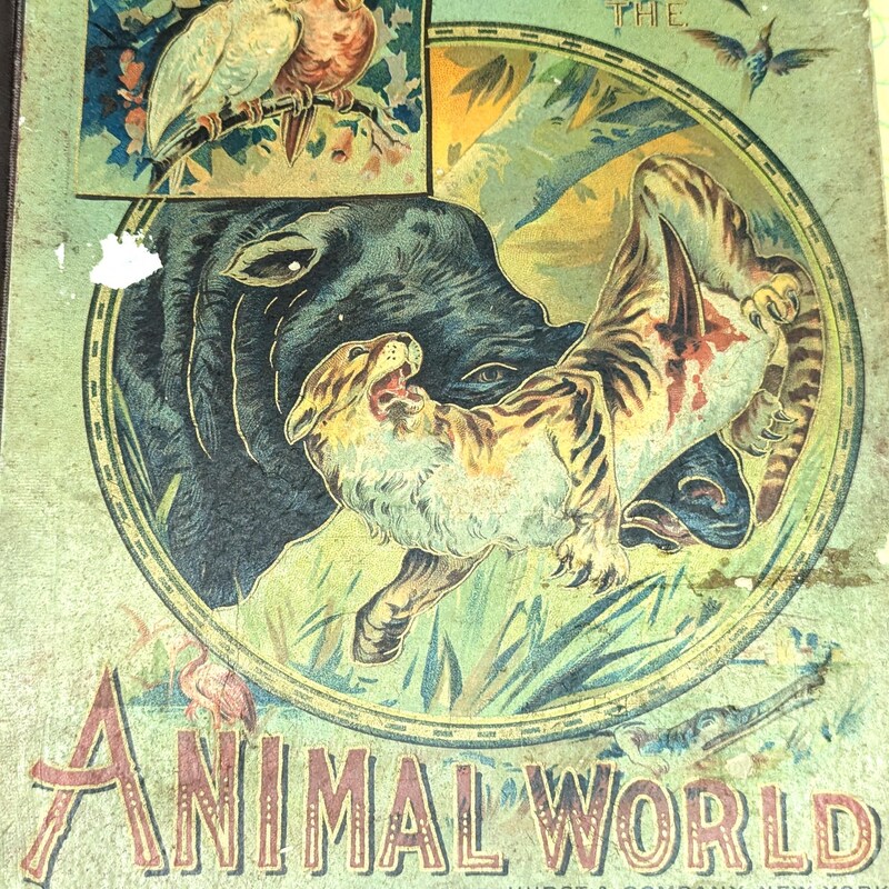 Antique Story Book - Etsy
