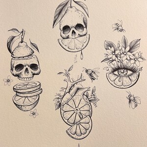 Lemon Skull Anatomy Art Print Pack - Surrealist Nature Illustration - Etsy