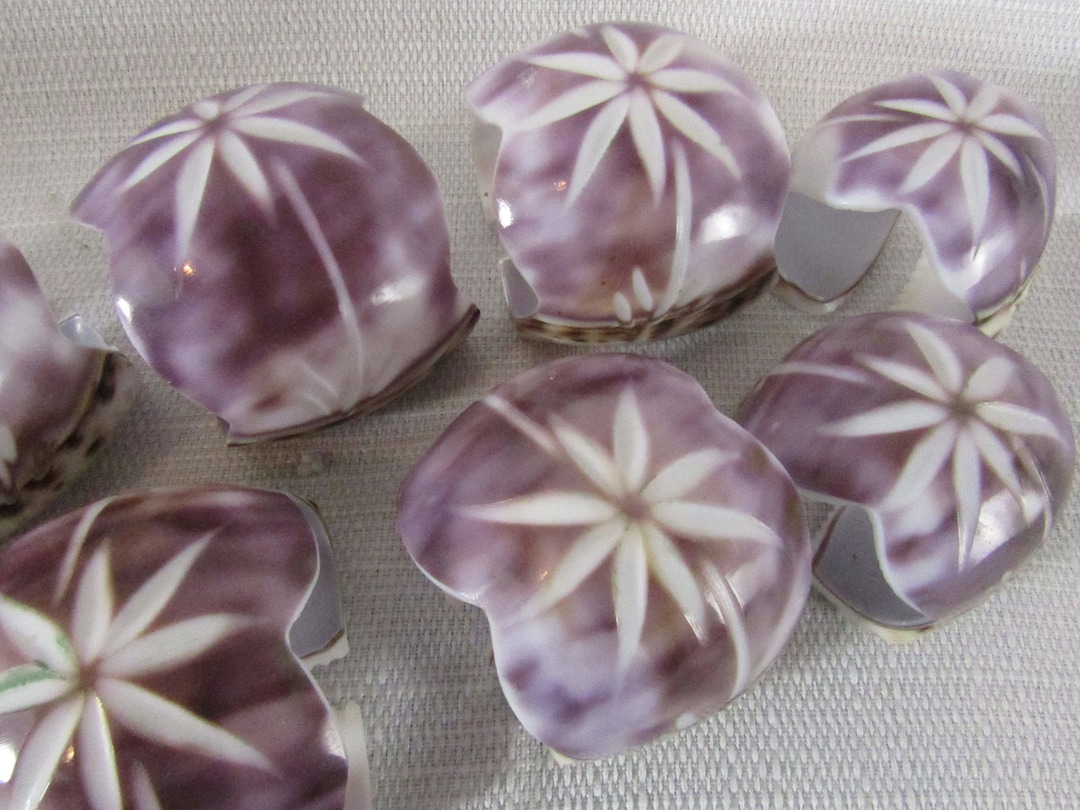 Vintage Hand Carved Tigre Cowrie Shell Napkin Rings Set of 4 or 8 RARE ...