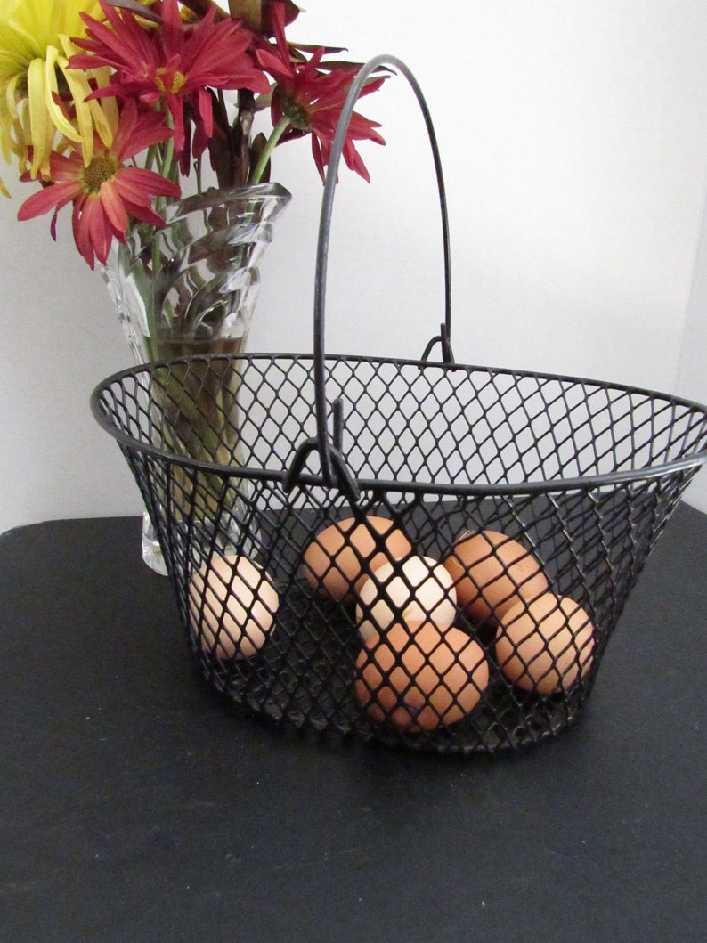 Plastic Coated Wire Basket Eggs Wildflowers Herbs Foraging - Etsy
