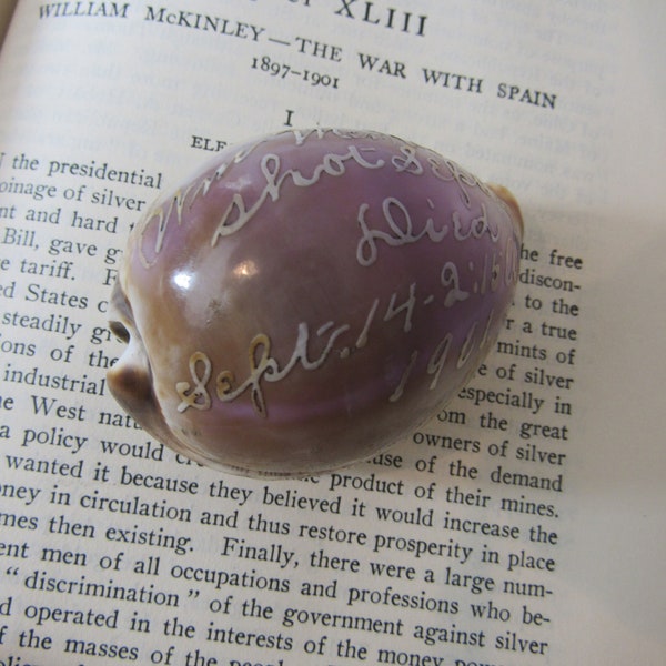 Engraved Shell - Etsy