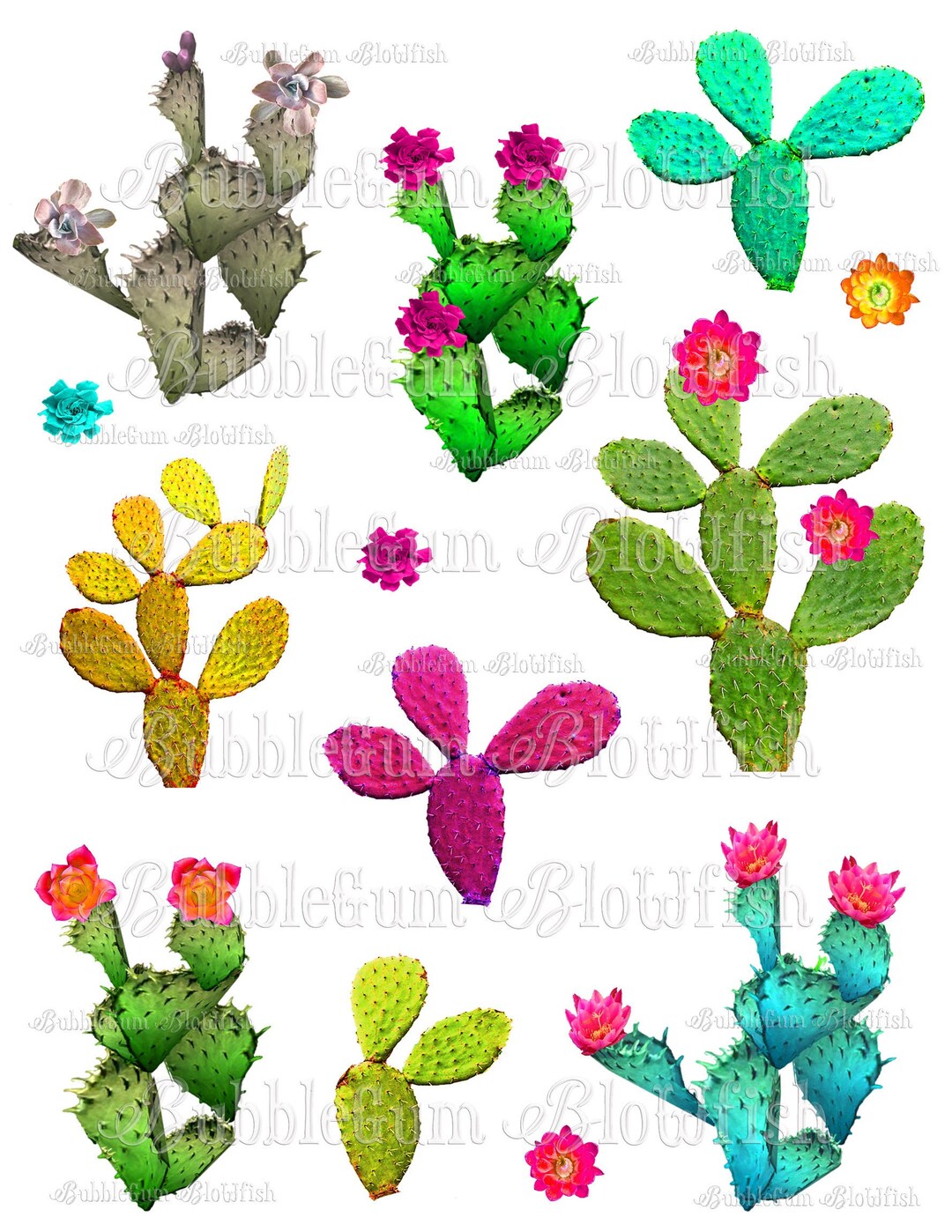 Funky Colorful Floral Cactus Digital PNG Collage Sheet Images Are NOT ...