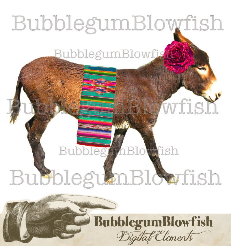 Glam FeAtHer RoSe DoNkEy #1 Graphic Design Elements clipart Paper ...