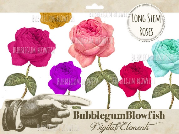 Gorgeous Long Stem Roses Diy Digital Graphic Design Elements | Etsy