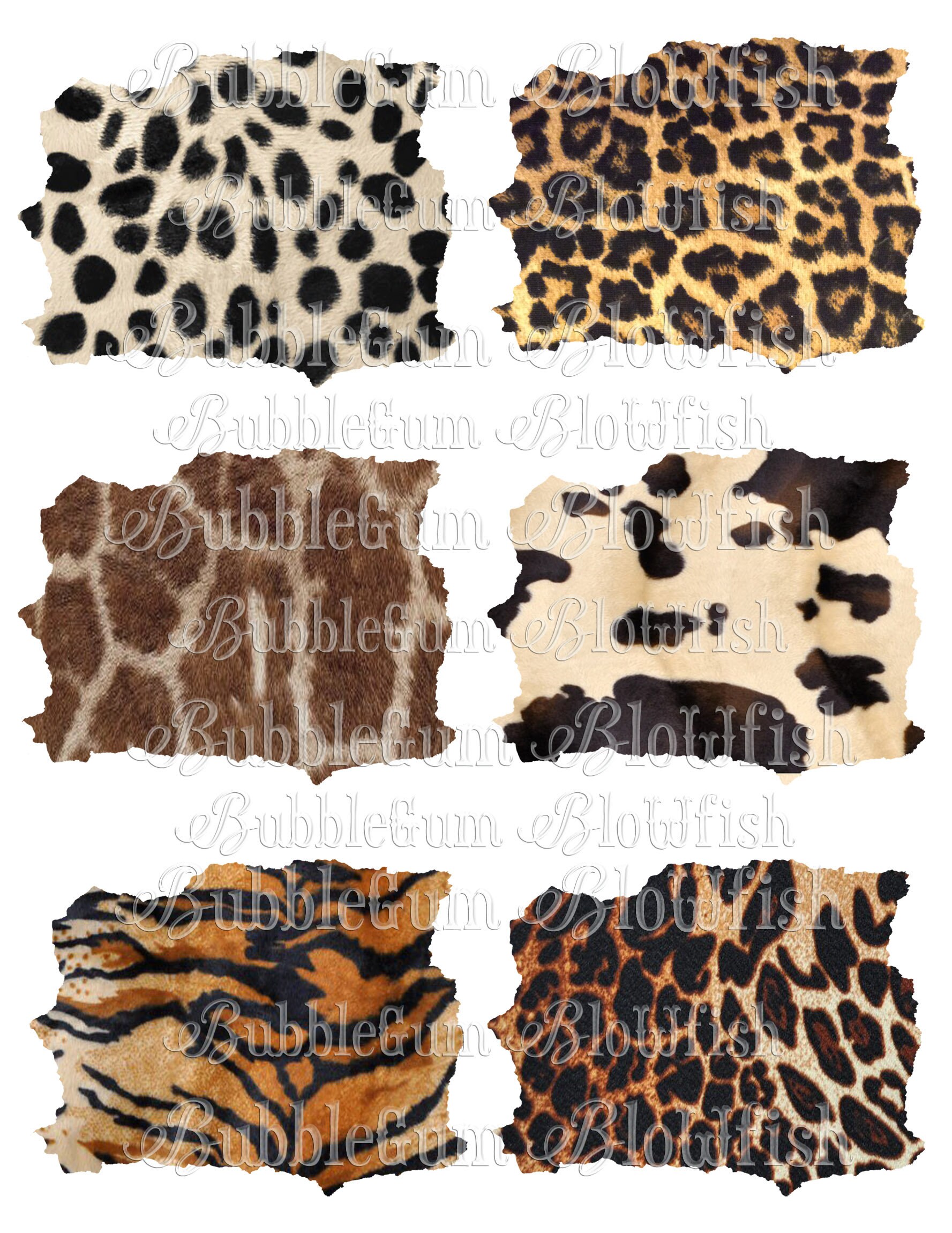 Furry Animal Clip Art