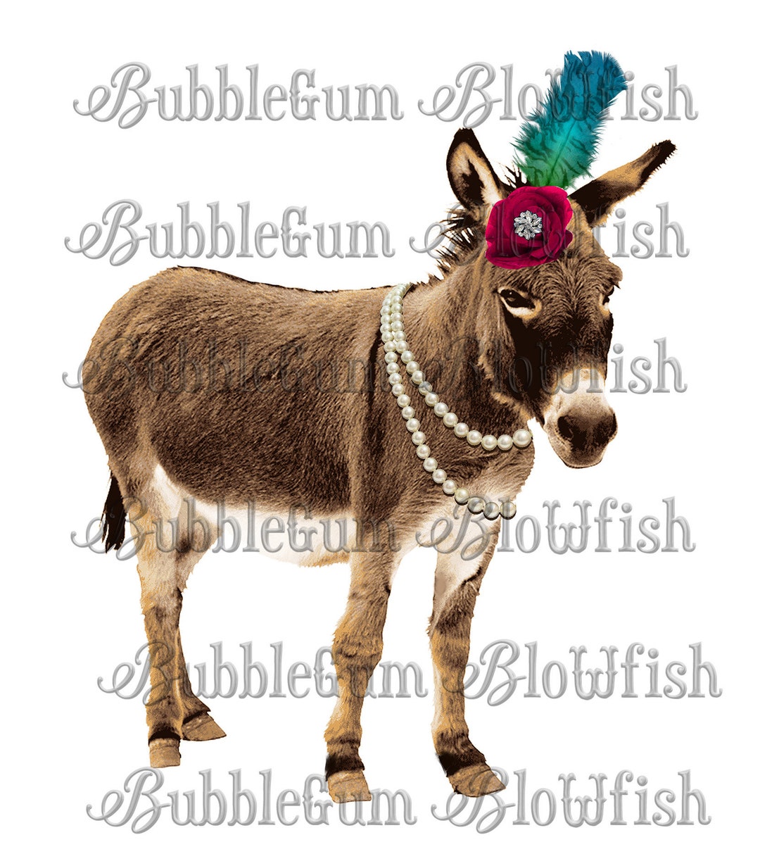 Glam Feather Rose Donkey 2 Graphic Design Elements Clipart - Etsy