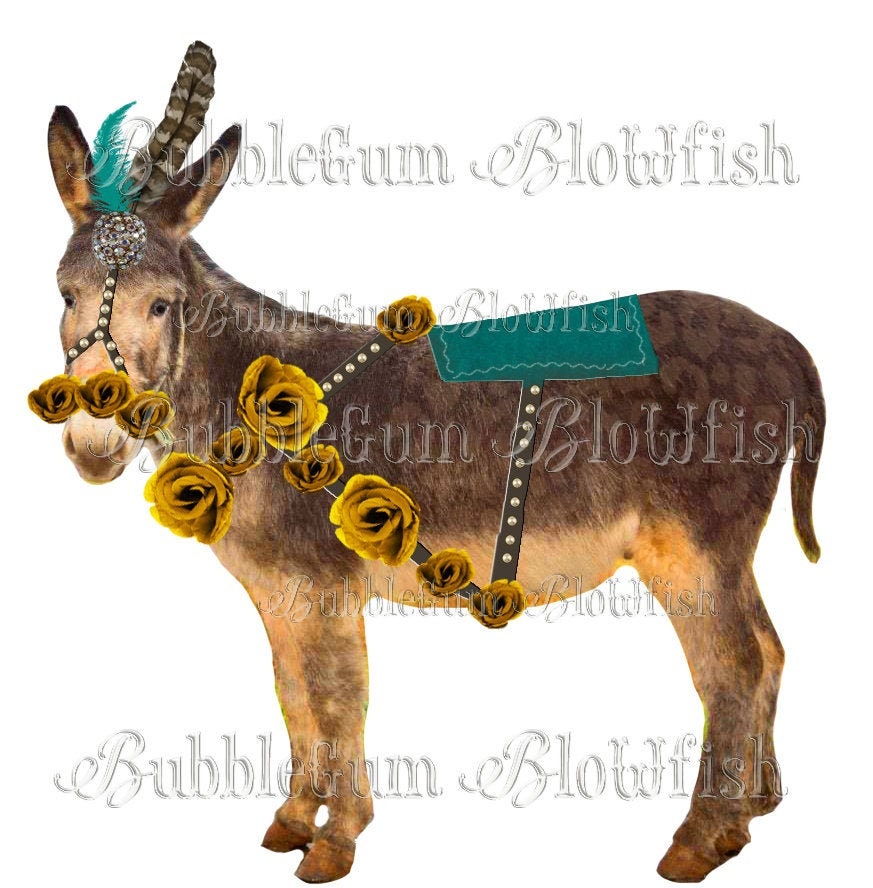 Glam FeAtHer RoSe DoNkEy #1 Graphic Design Elements clipart Paper ...