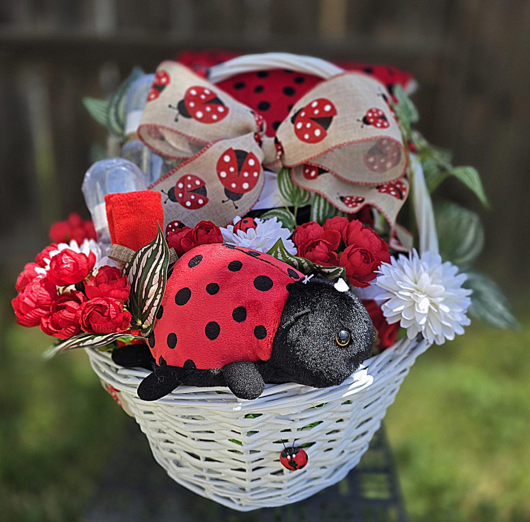 Ladybug Diaper Cake Gift Basket: Baby Girl Gift - Etsy