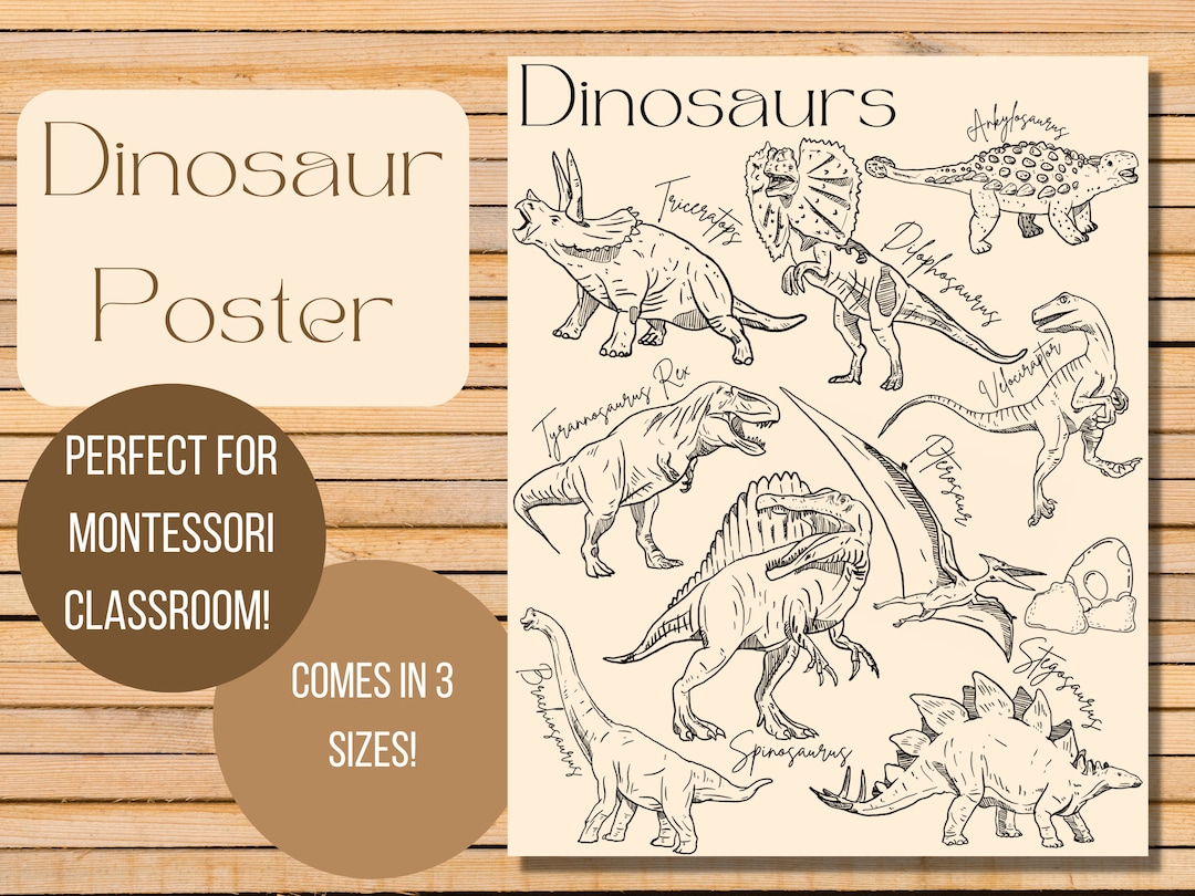 Montessori Dinosaur Poster, Dinosaur Decor for Classrooms, Realistic ...