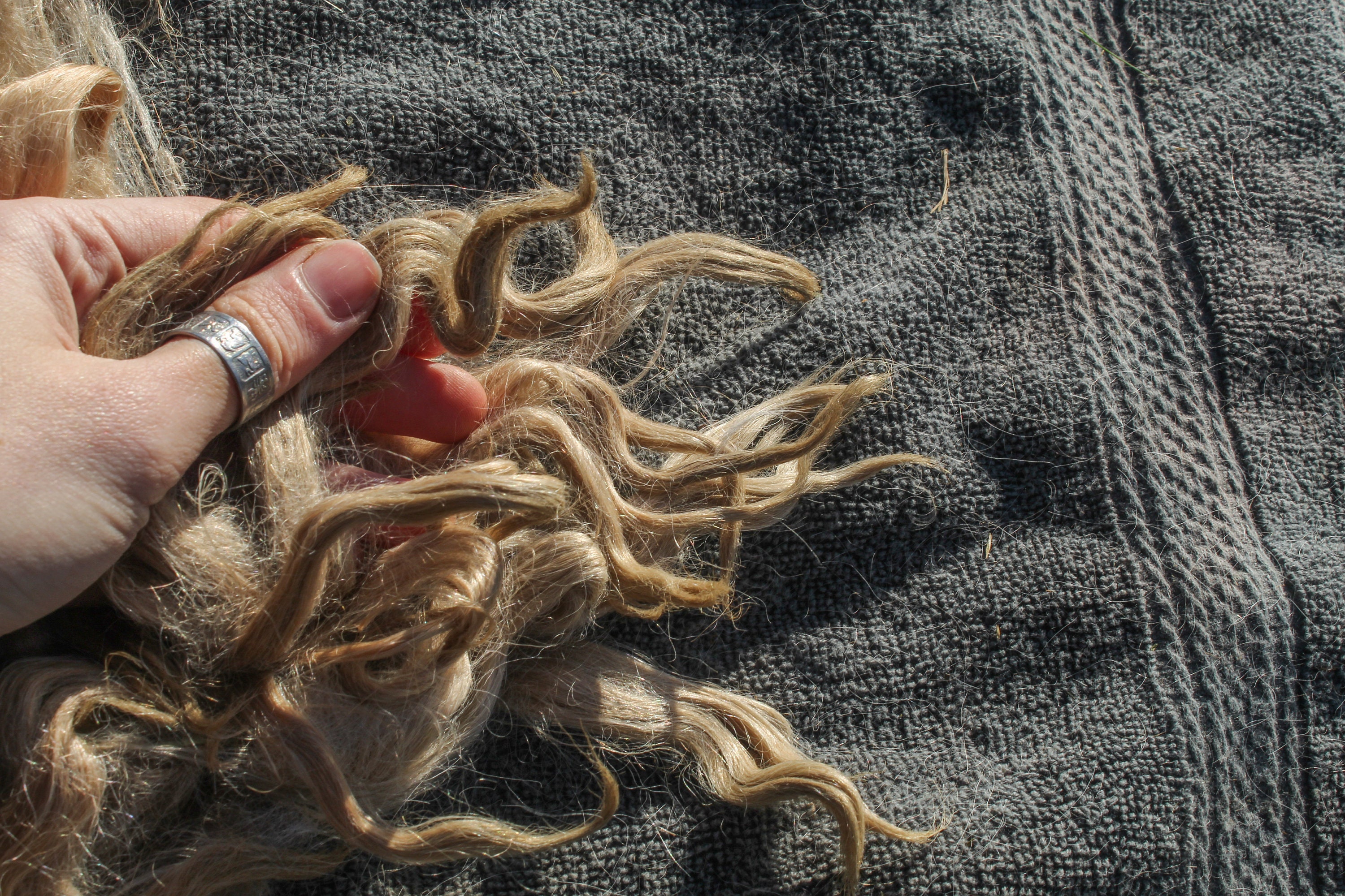 Suri Alpaka Locken: weiße Suri Locken Bjd Perücke | Etsy