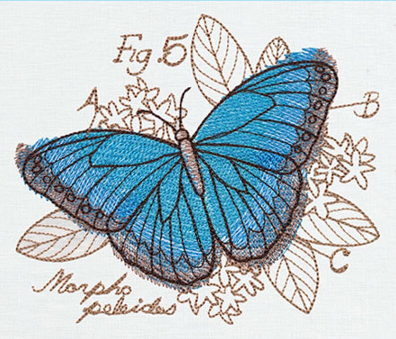 Miniature Menagerie Butterfly Diagram Embroidered Canvas Field - Etsy