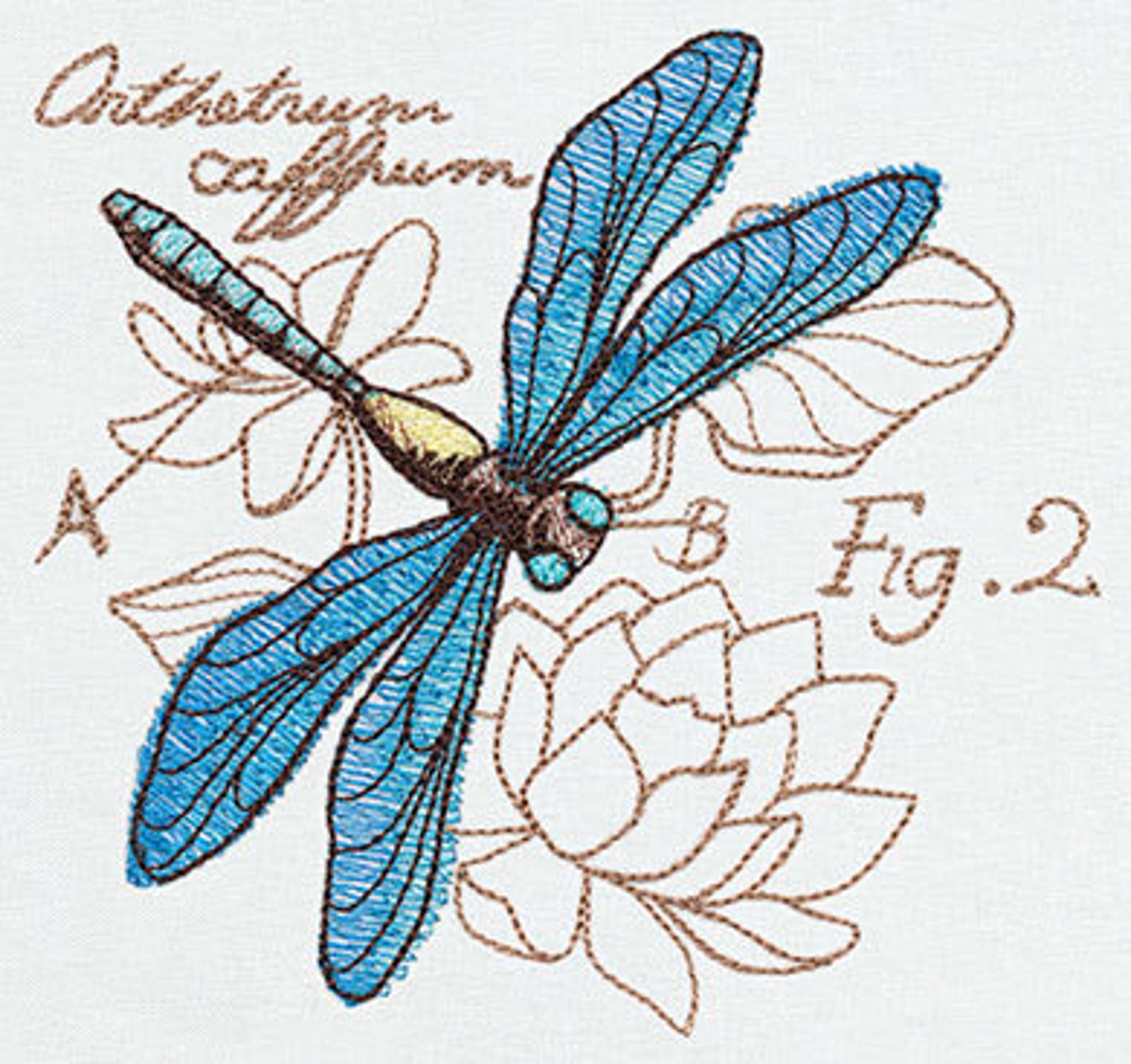 Miniature Menagerie Dragonfly Diagram Embroidered Canvas Messenger Bag ...