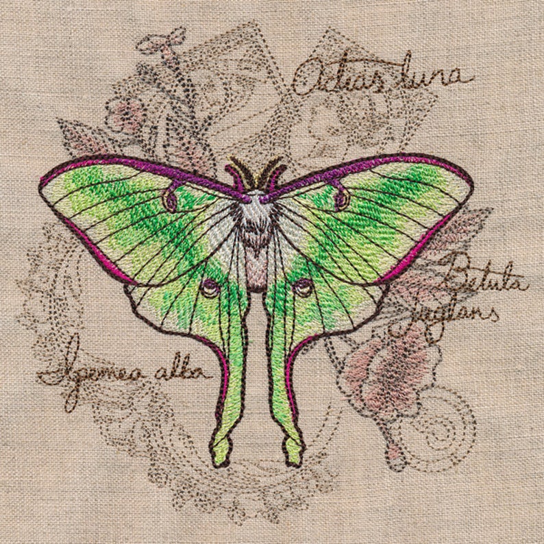 Luna Moth Collage Embroidered Canvas Messenger Bag - Etsy