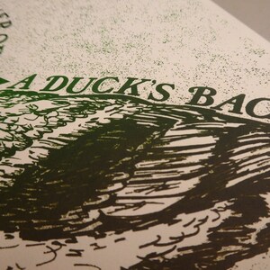 Water off A Duck's Back Screen Print, Positive Wall Art, Optimistic ...